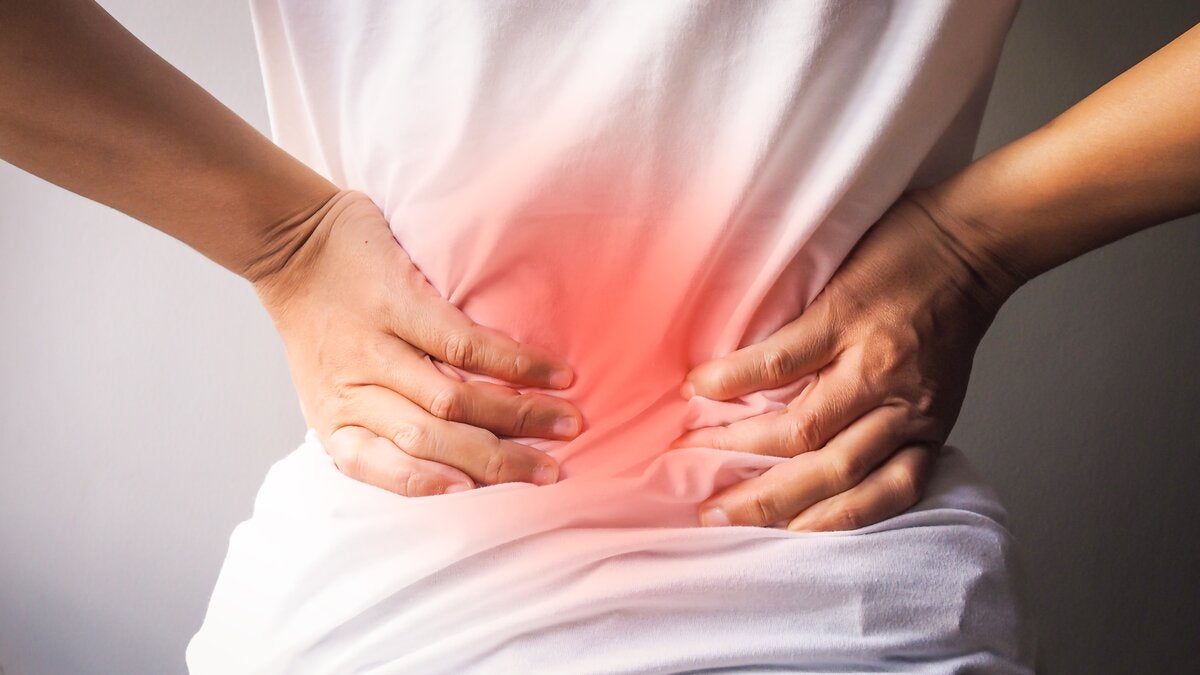 UTI Causing You Back Pain? – BodSupport